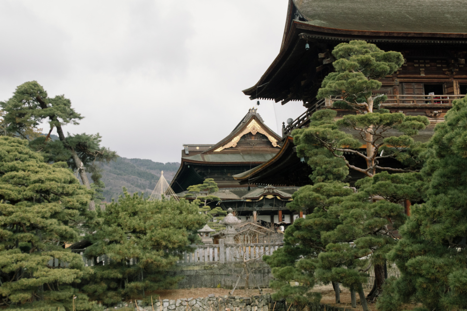 FULL GUIDE TO HAKUBA IN JAPAN