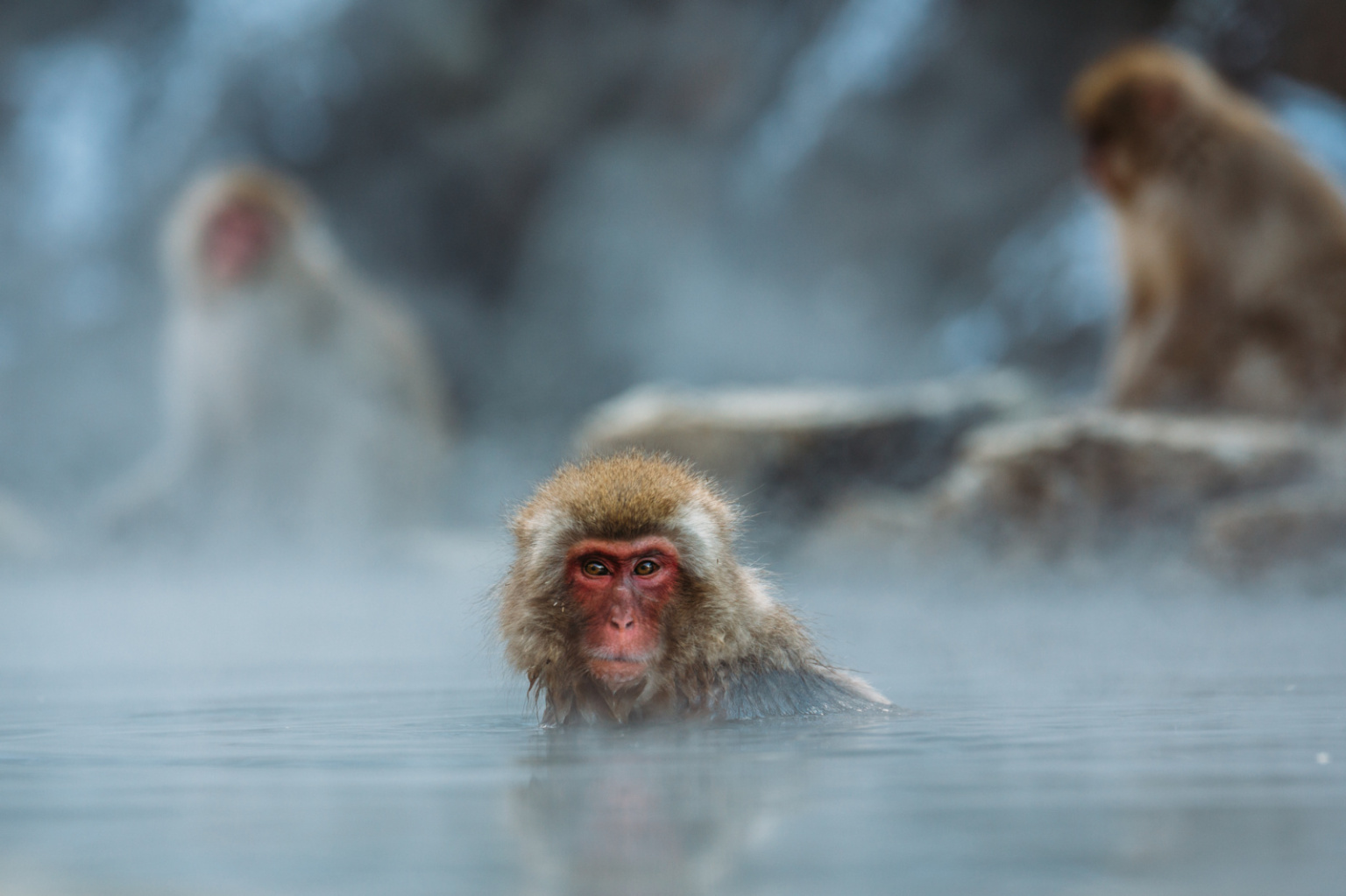 10 BEST THINGS TO SEE IN THE JAPANESE ALPS [FULL GUIDE]