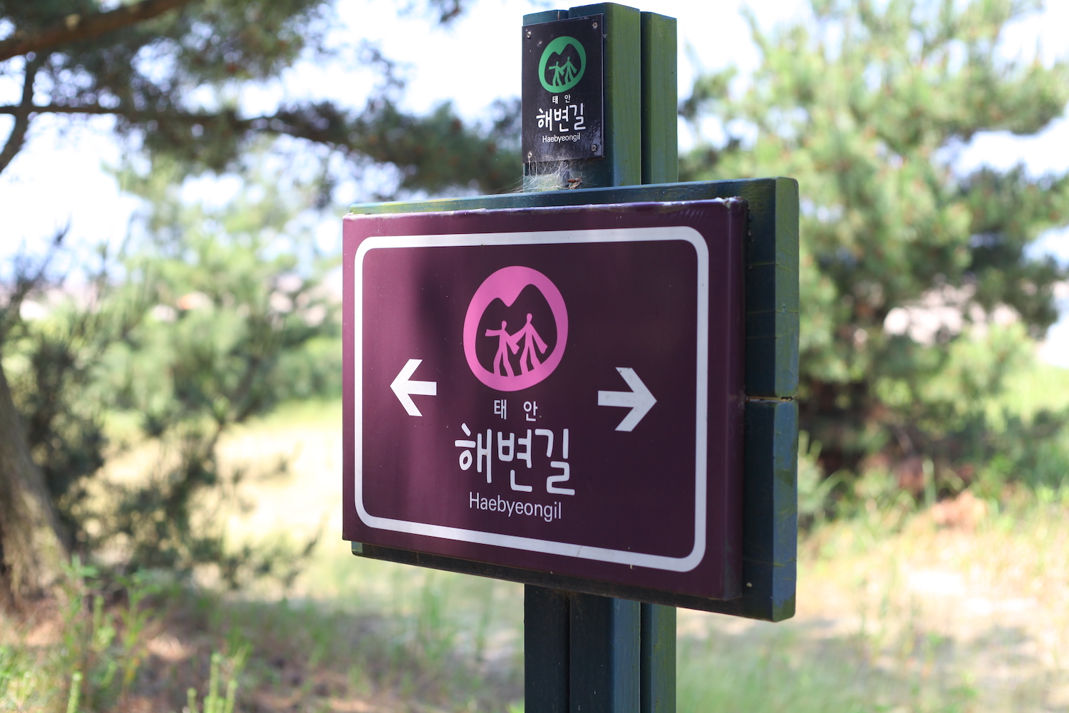 13 GREAT THINGS TO DO IN TAEAN [SOUTH KOREA]