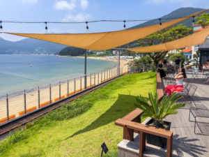 GUIDE TO OEDO ISLAND IN SOUTH KOREA