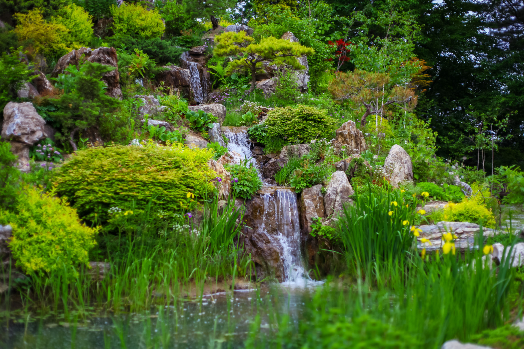 GUIDE TO THE GARDEN OF THE MORNING CALM IN KOREA