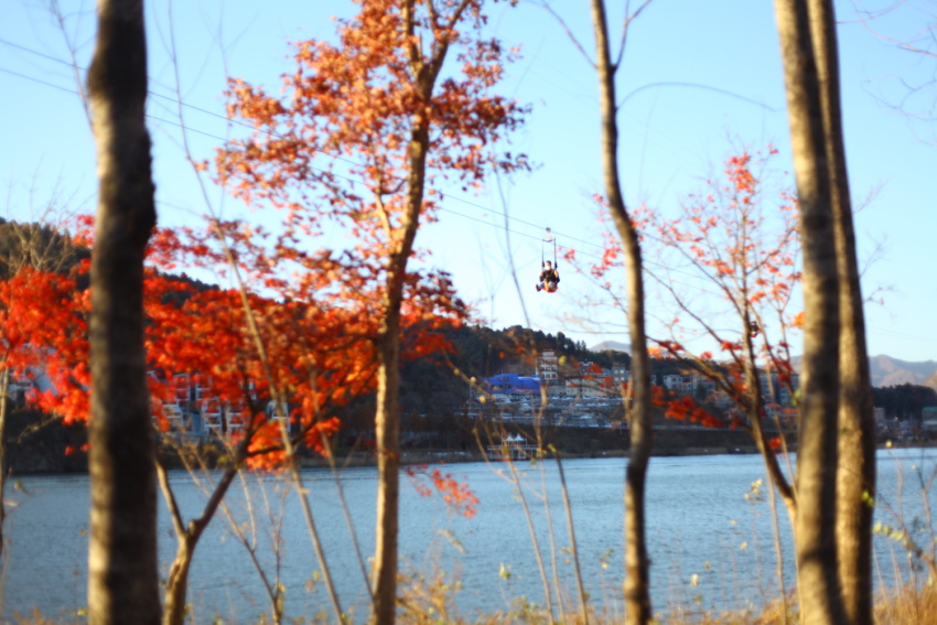 NAMI ISLAND - ULTIMATE GUIDE [KOREA VISIT]