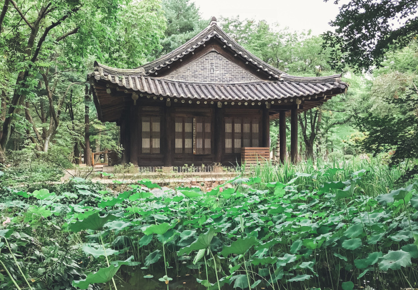 NAMI ISLAND - ULTIMATE GUIDE [KOREA VISIT]