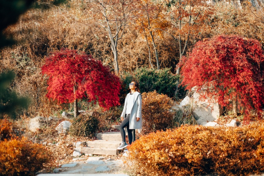 POCHEON ART VALLEY - FULL GUIDE [VISIT KOREA]