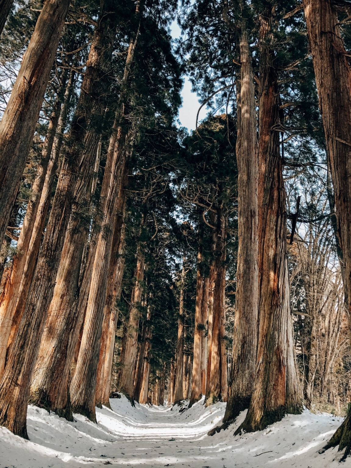 FULL GUIDE TO HAKUBA IN JAPAN