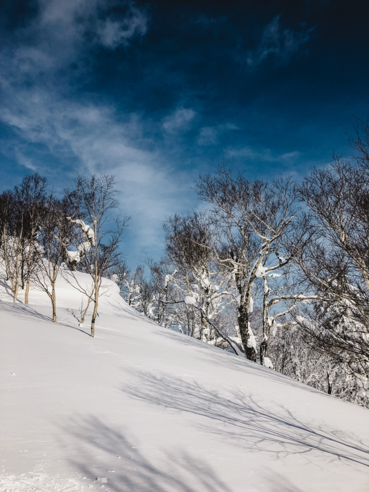 FURANO IN WINTER - ALL YOU NEED TO KNOW [HOKKAIDO]