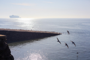 Wolmido Island – What to Do, How to Get There & Travel Tips from Seoul