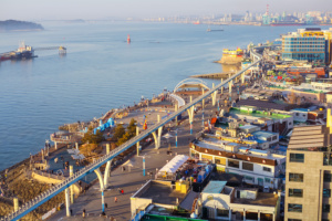 Wolmido Island – What to Do, How to Get There & Travel Tips from Seoul