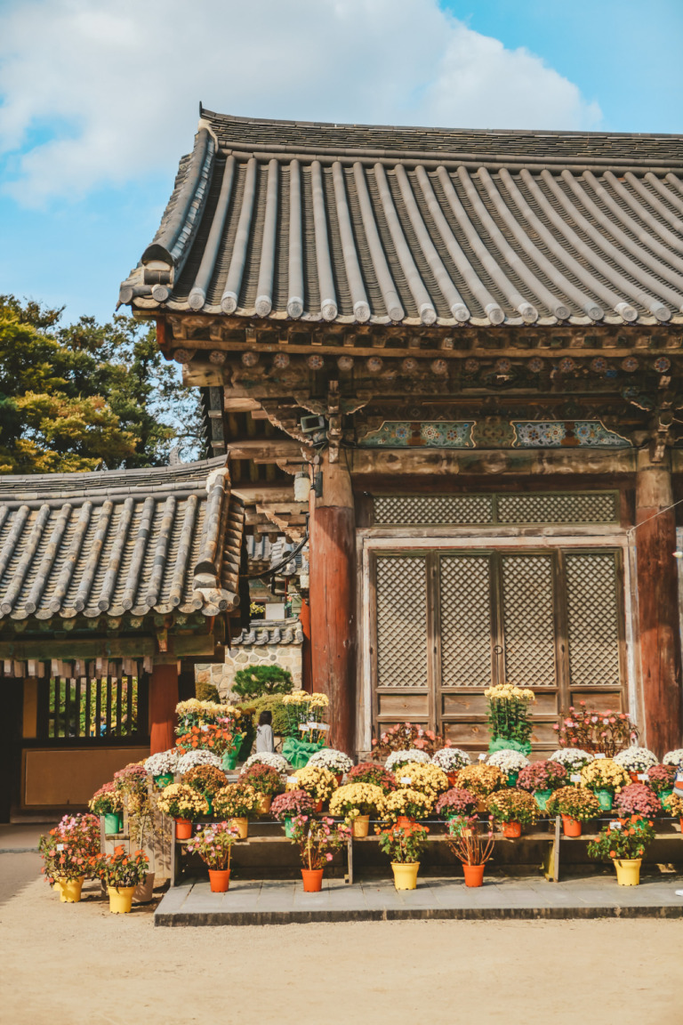 BULGUKSA TEMPLE IN GYEONGJU [KOREA] - FULL GUIDE