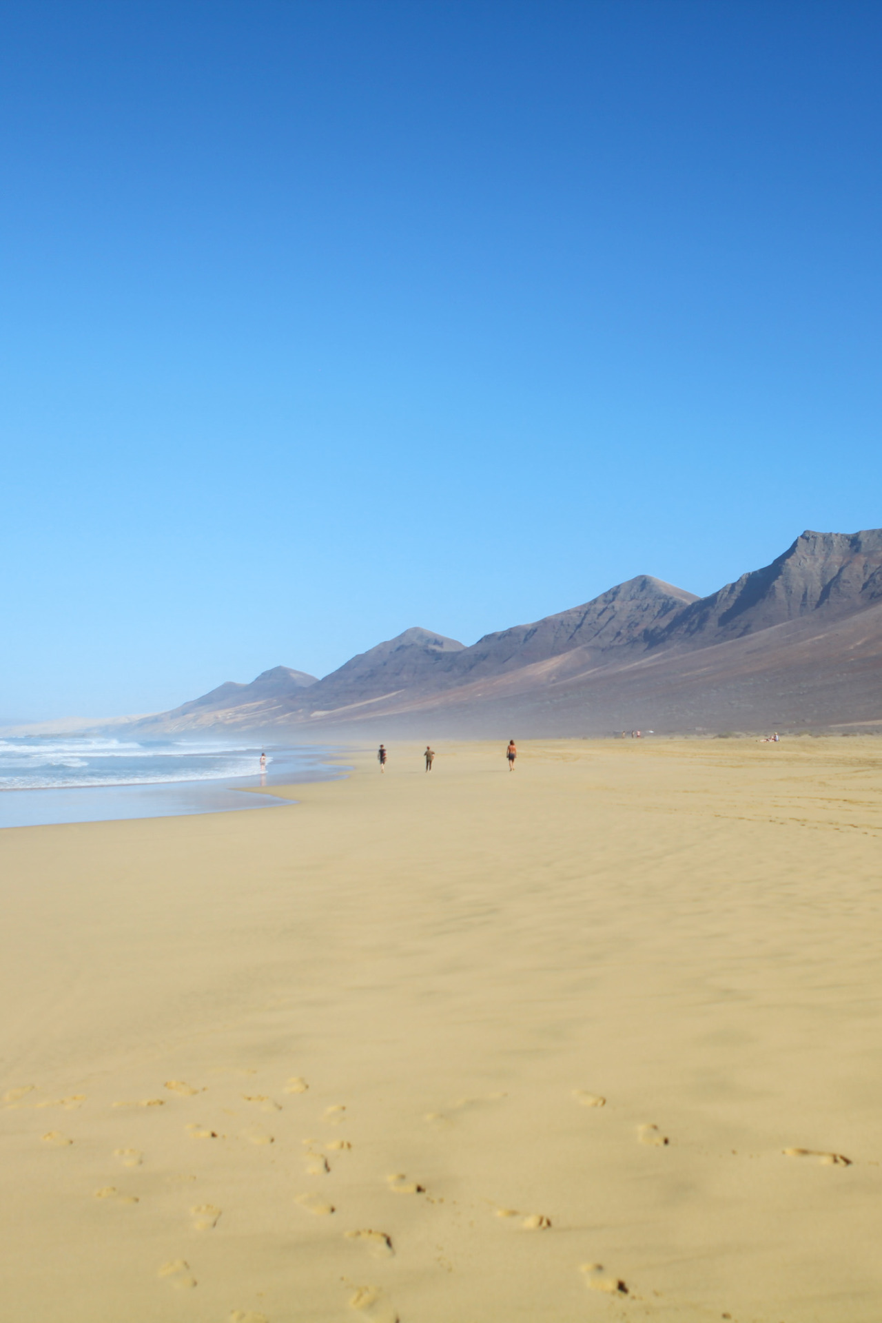 GUIDE TO COFETE BEACH IN FUERTEVENTURA