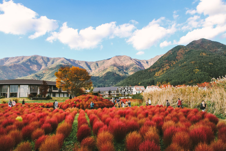 15 BEST THINGS TO SEE AT LAKE KAWAGUCHI [JAPAN GUIDE]