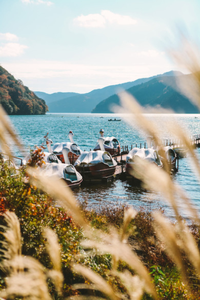 15 BEAUTIFUL THINGS TO SEE IN HAKONE [JAPAN GUIDE]