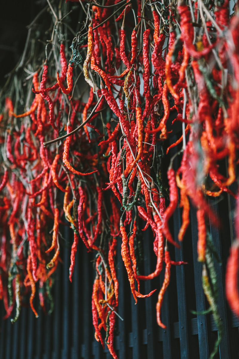 TRAVEL GUIDE FOR MAGOME IN JAPAN [NAKASENDO]