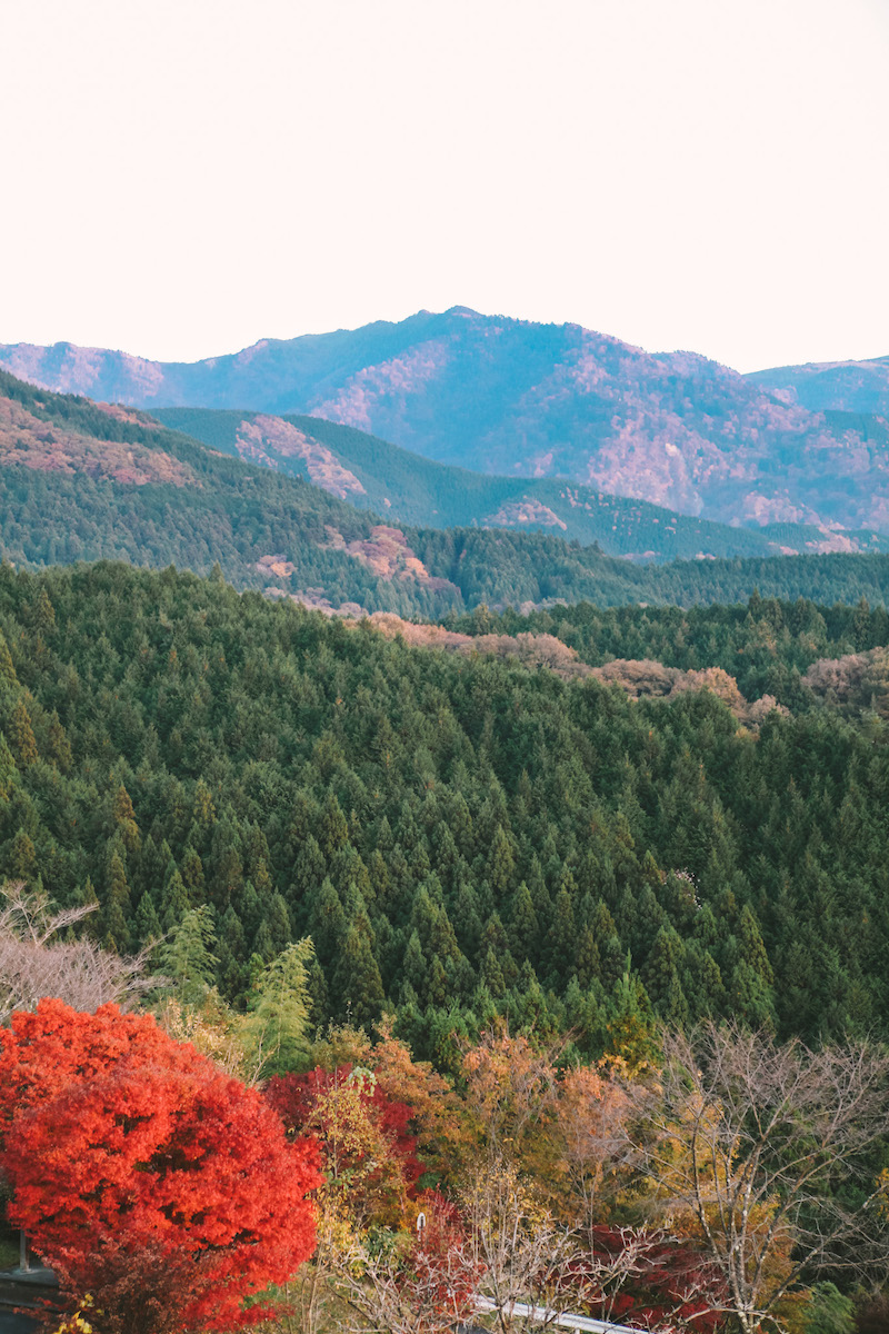 TRAVEL GUIDE FOR MAGOME IN JAPAN [NAKASENDO]