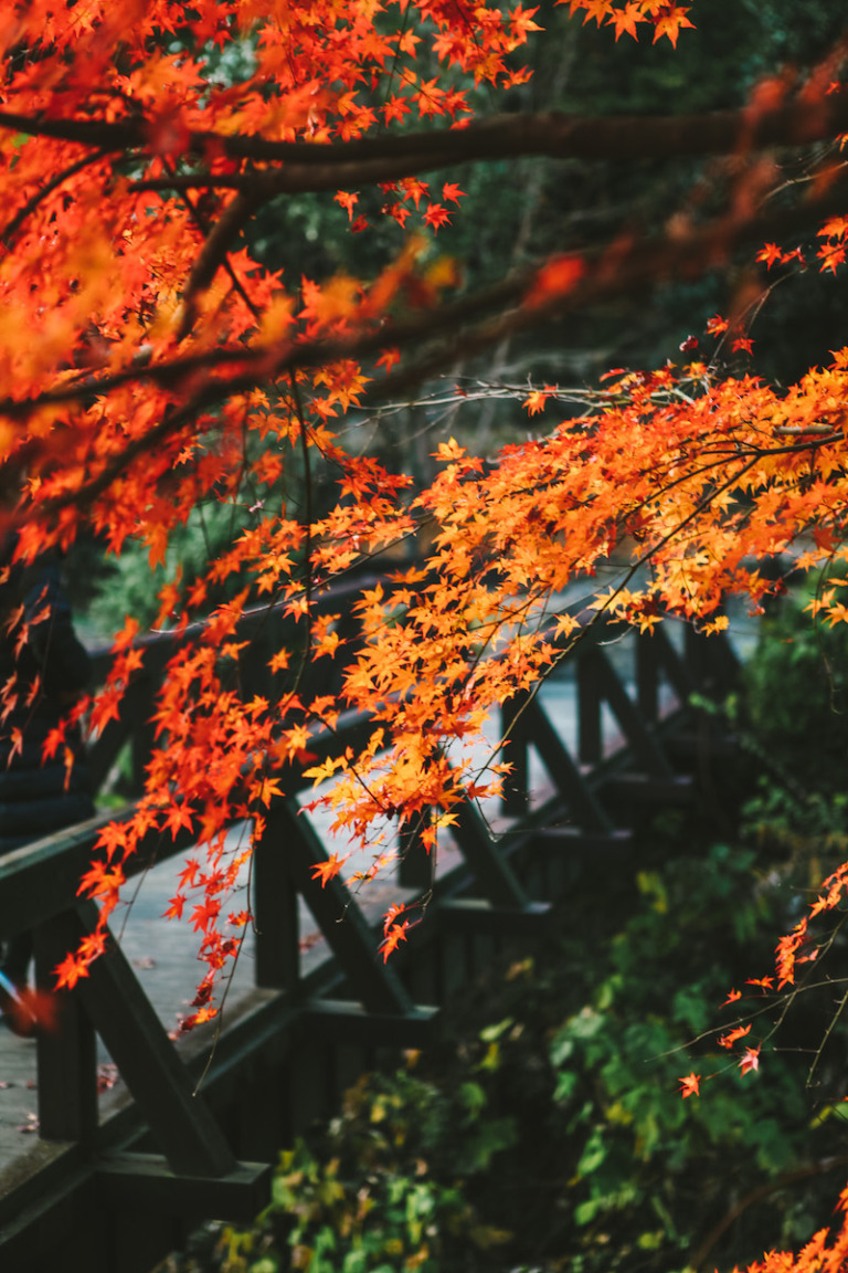 TRAVEL GUIDE FOR MAGOME IN JAPAN [NAKASENDO]