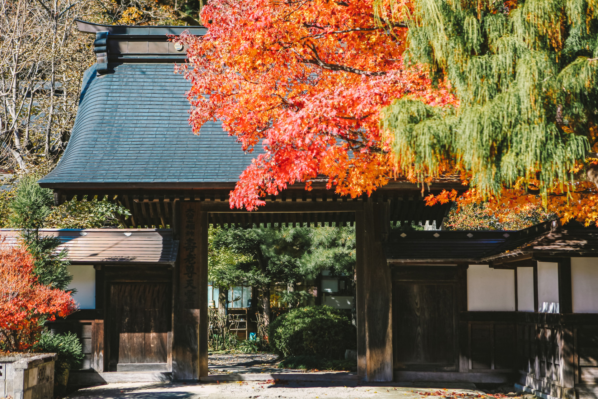 VISIT NARAI-JUKU ALONG NAKASENDO [JAPAN GUIDE]