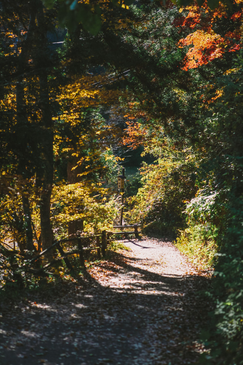 MAGOME - TSUMAGO TRAIL [NAKASENDO WAY] - FULL GUIDE