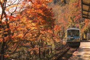 TRAVEL GUIDE FOR MAGOME IN JAPAN [NAKASENDO]